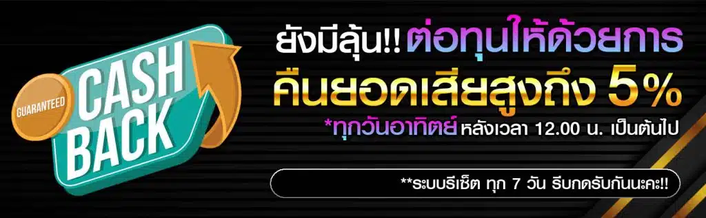 โปรโมชั่น - 5977app1